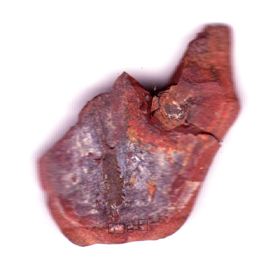 Amphibian/reptile/tetrapod Skull From Mazon Creek? - Fossil ID - The ...