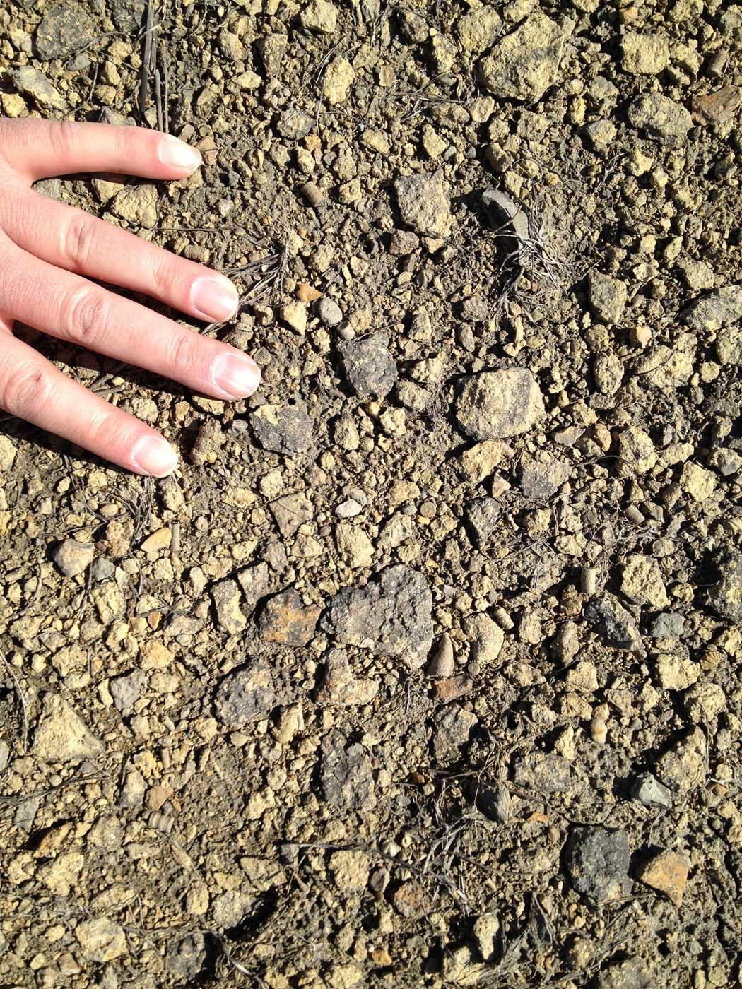 Johnson County, Kansas Fossil Hunt - Fossil Hunting Trips - The Fossil ...