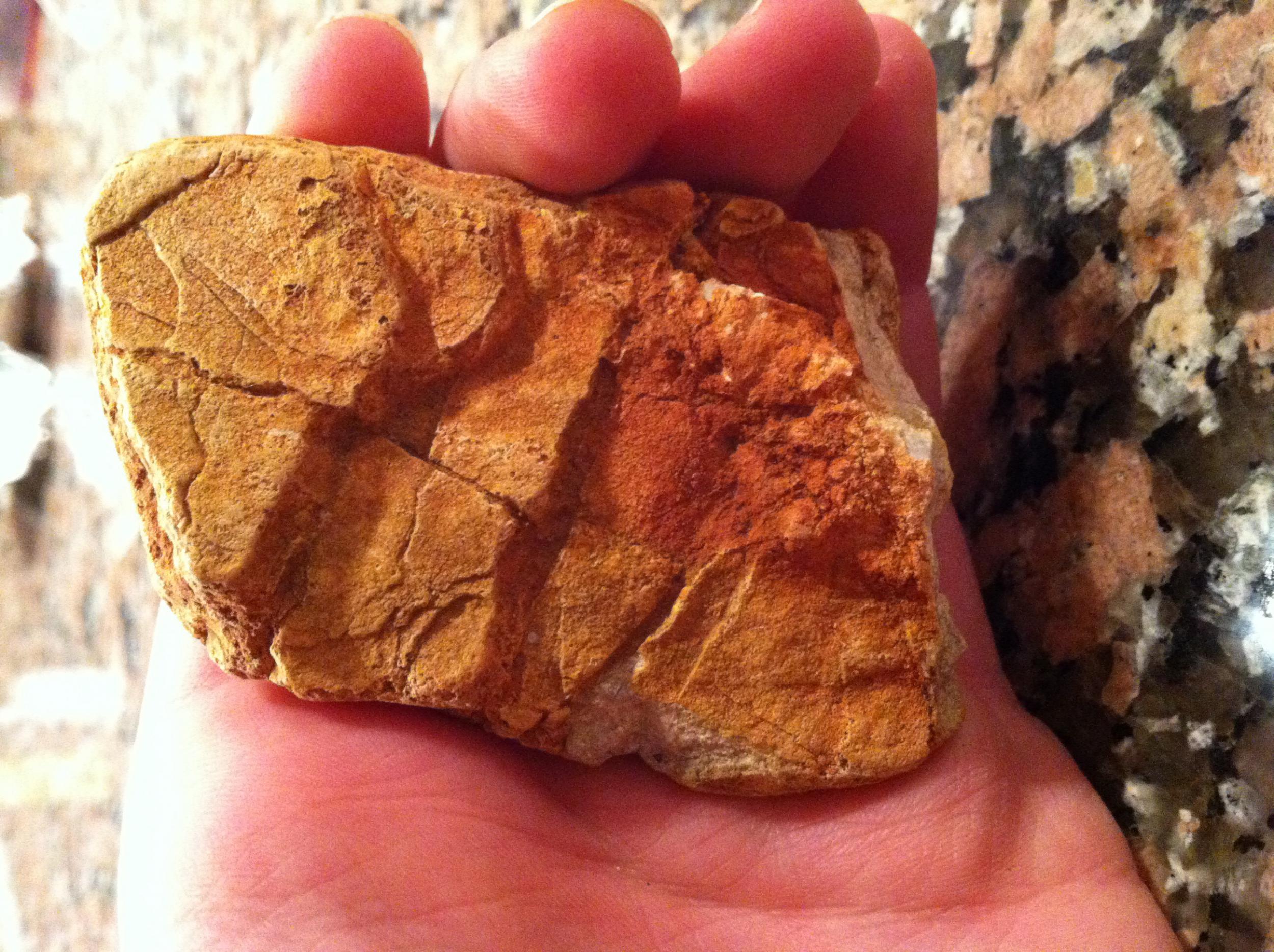 Really Strange. - Fossil ID - The Fossil Forum