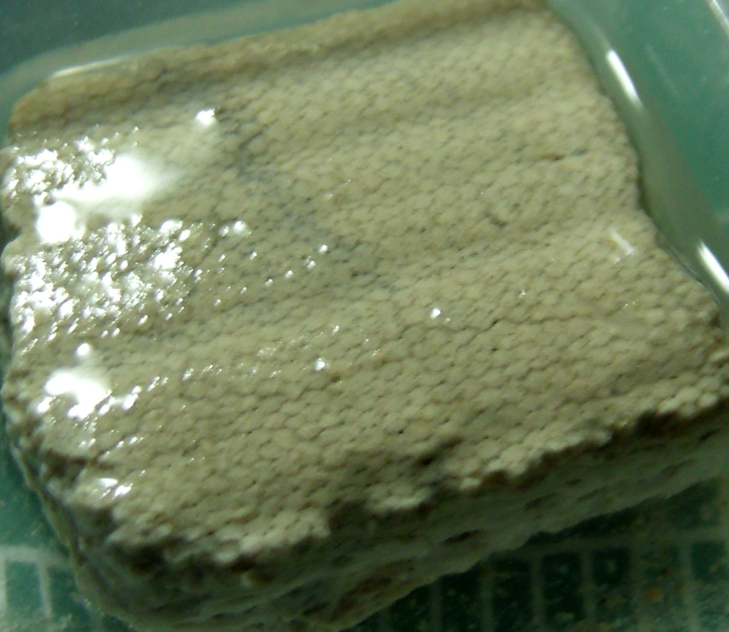 January 2014 Vertebrate Find Of The Month - Fossil of the Month - The ...