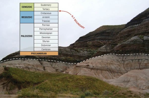 Which Layer Is K-Pg Boundary? - Questions & Answers - The Fossil Forum