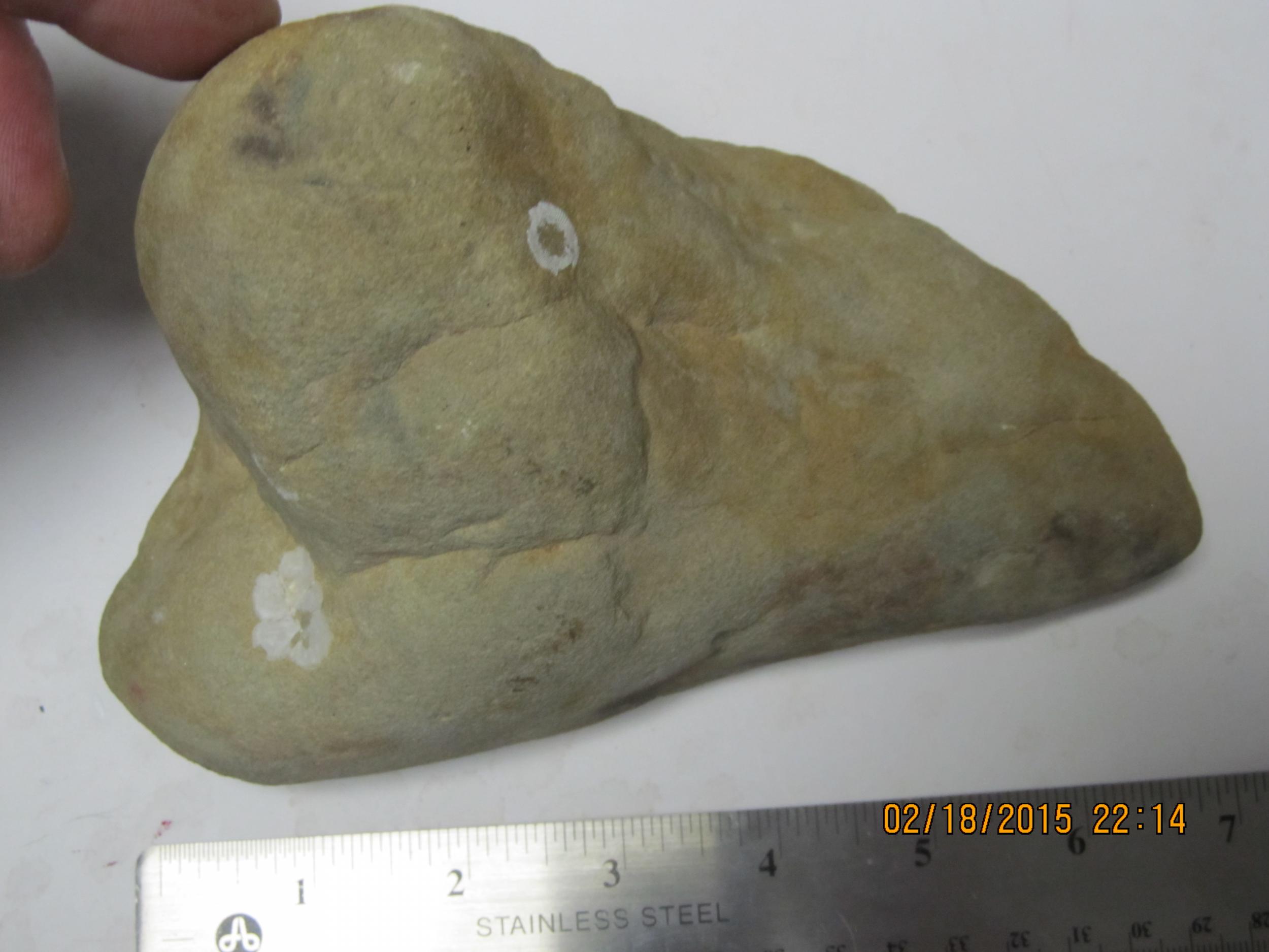 Looks Like Meg Tooth Or Weird Shaped Rock ? - Fossil ID - The Fossil Forum