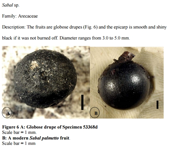 Small pitted sphere, Pearl, phosphate pebble? not a fossil? - Fossil ID ...