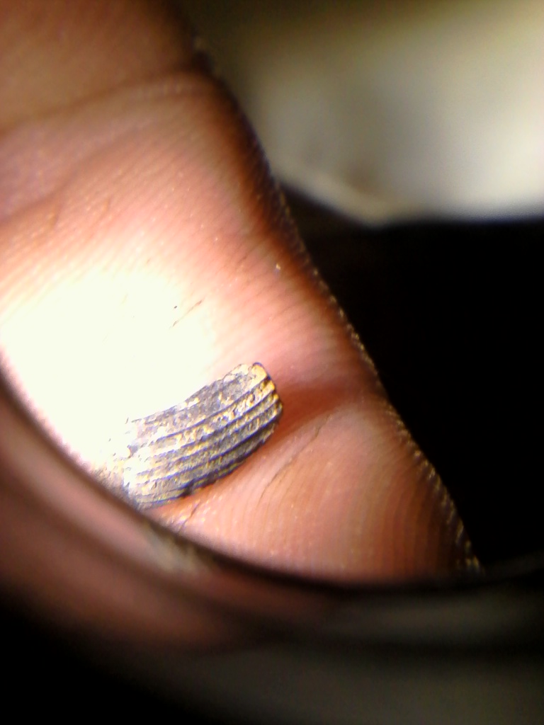 Unknown Tennessee Cretaceous Botanicals - Fossil ID - The Fossil Forum