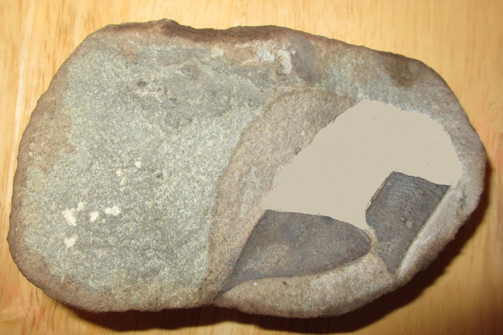 Arthropod? Insect? Agnathan Fish Part, Eurypterid Part? - Fossil ID ...