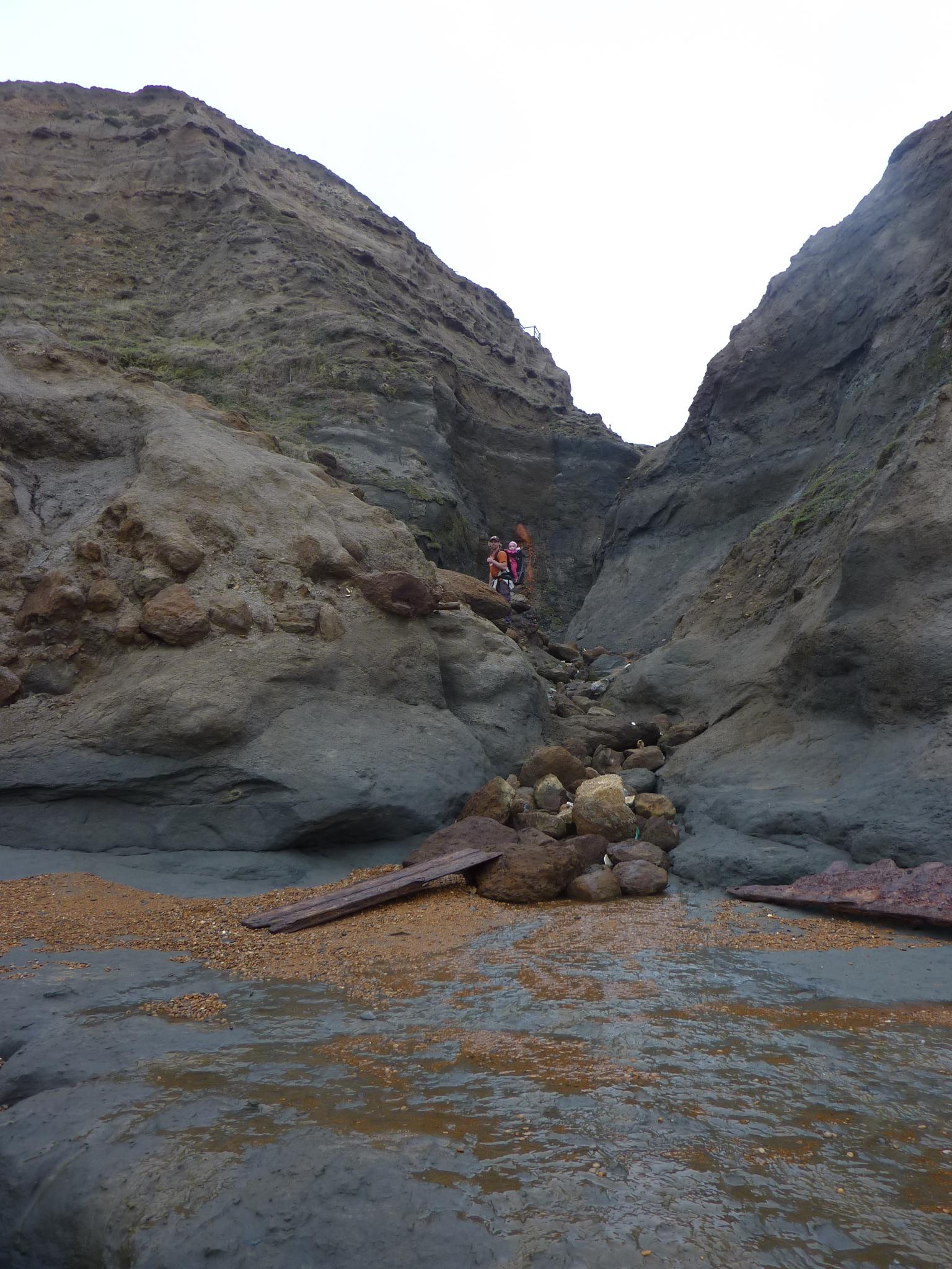 Best Fossil Trip So Far! Bouldnor Formation - Fossil Hunting Trips ...