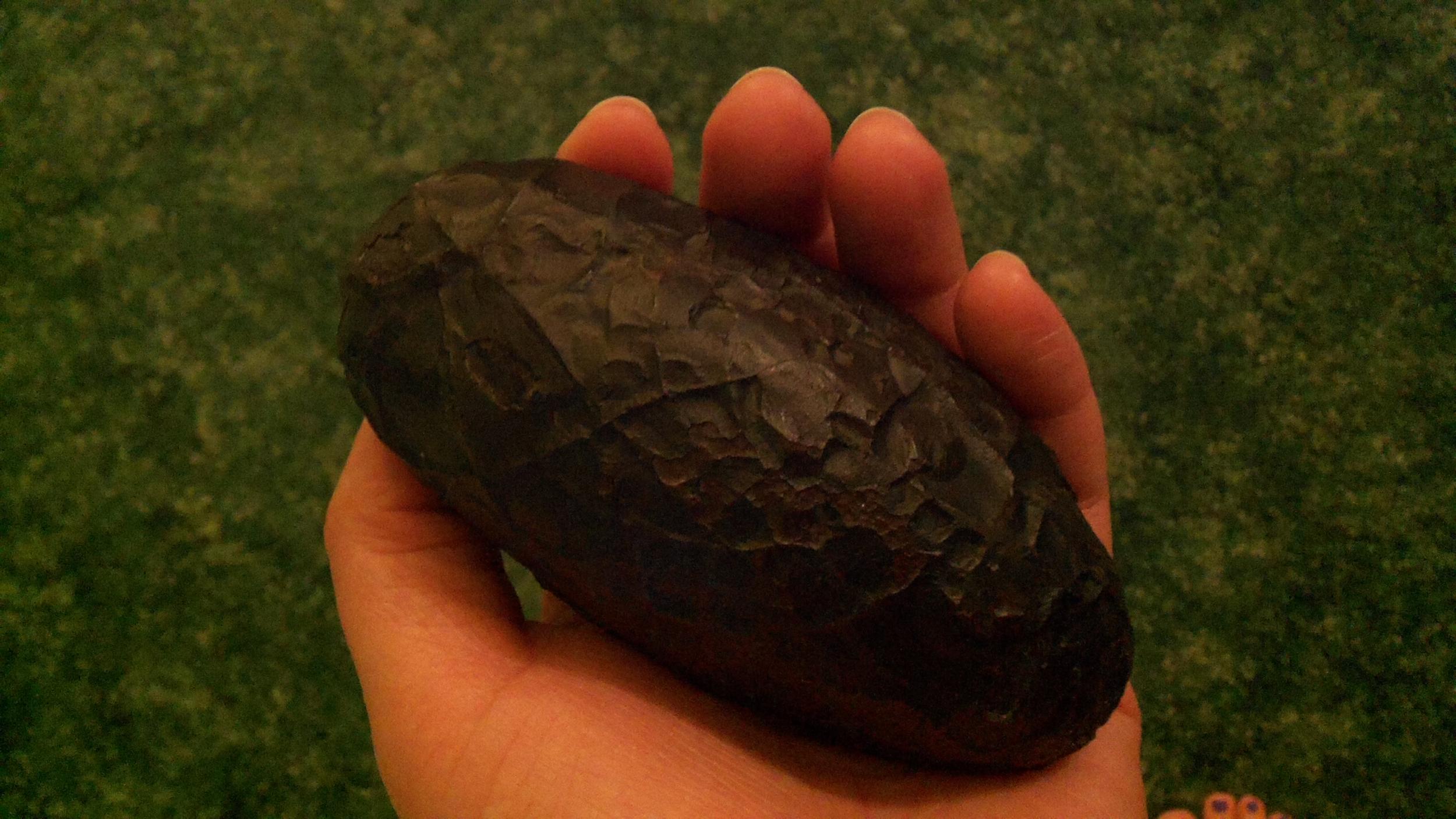 Large Avocado Looking (Maybe A Seed?) - Fossil ID - The Fossil Forum