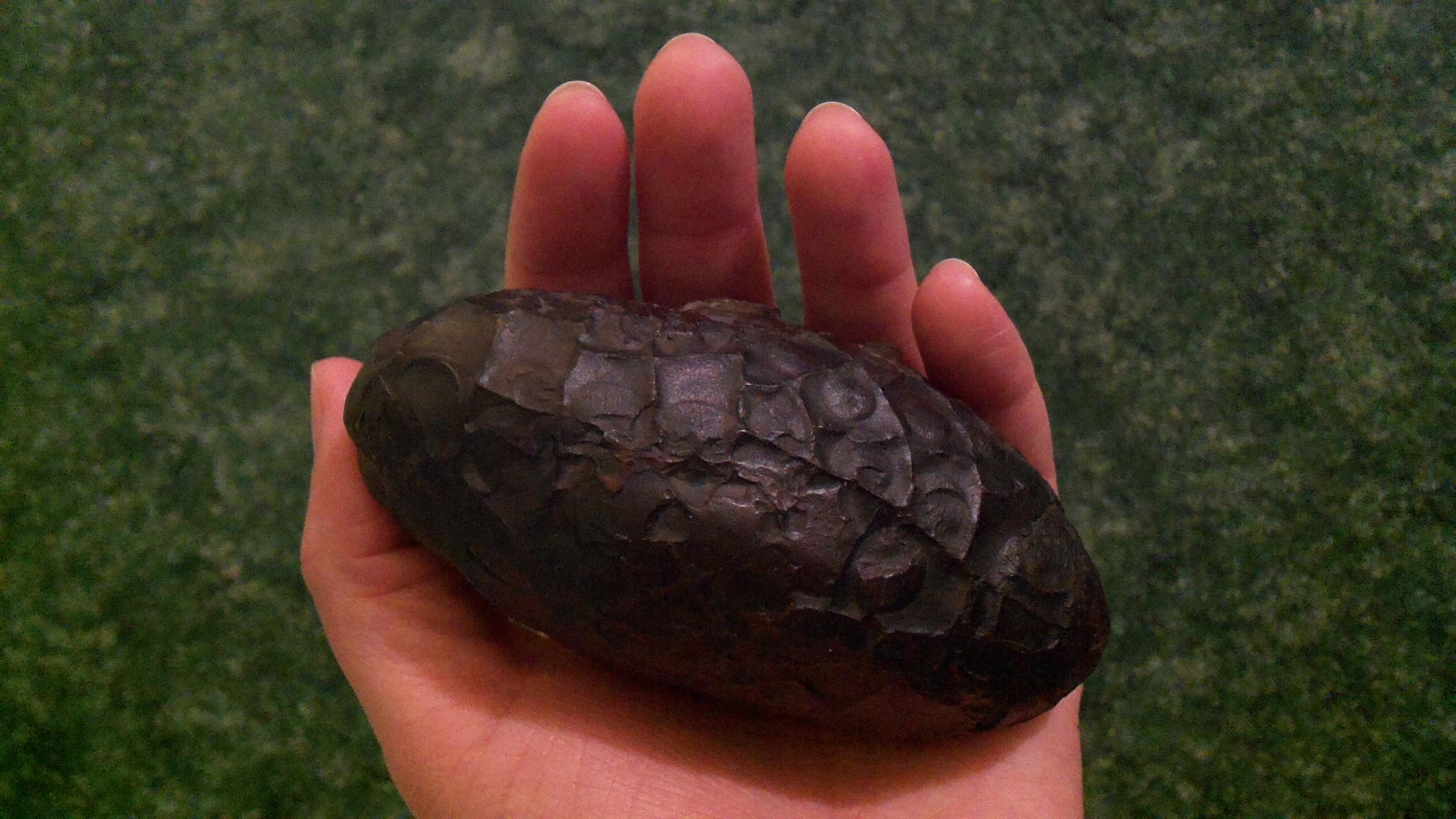 Large Avocado Looking (Maybe A Seed?) - Fossil ID - The Fossil Forum