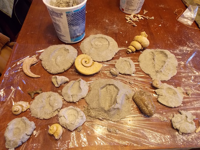 Quick Setting Clay - Potential For Field Use - General Fossil ...