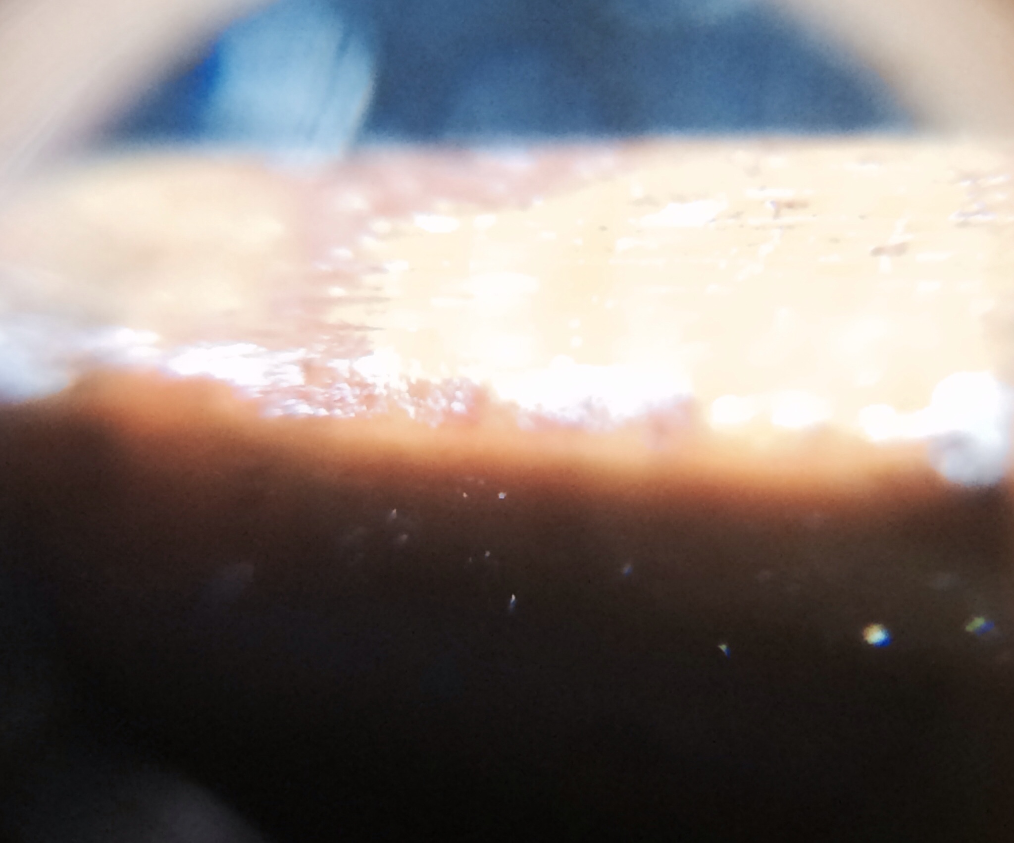 New Tooth For Id - Fossil ID - The Fossil Forum