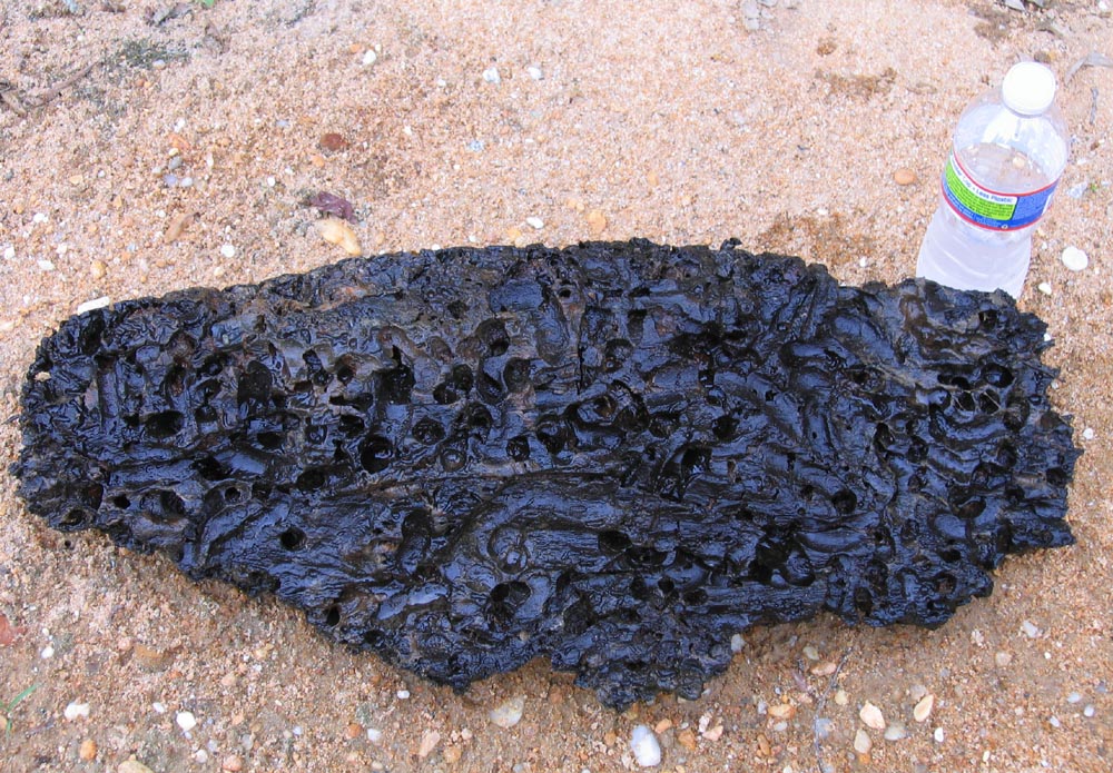 Cretaceous Lignite ? - Fossil ID - The Fossil Forum