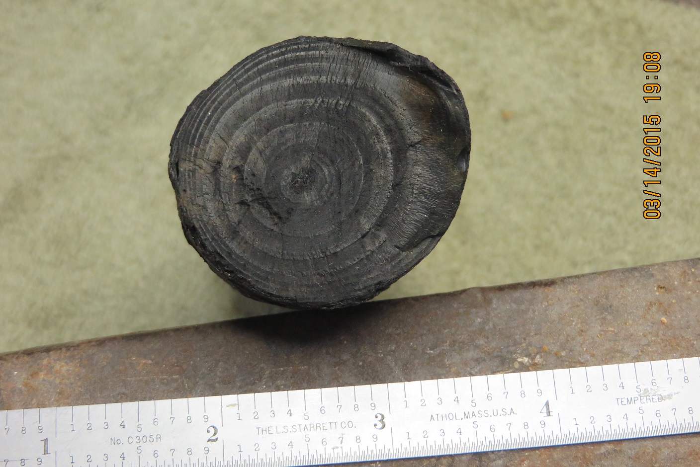 Cretaceous Lignite ? - Fossil ID - The Fossil Forum