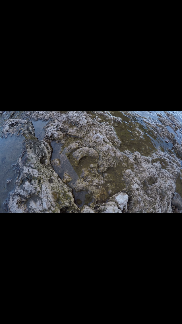 Weekend trip to the Goodland Formation - Fossil Hunting Trips - The ...