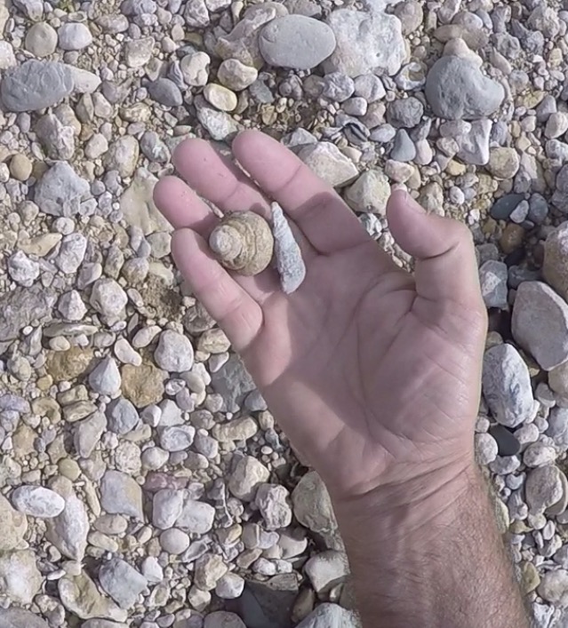 Weekend trip to the Goodland Formation - Fossil Hunting Trips - The ...