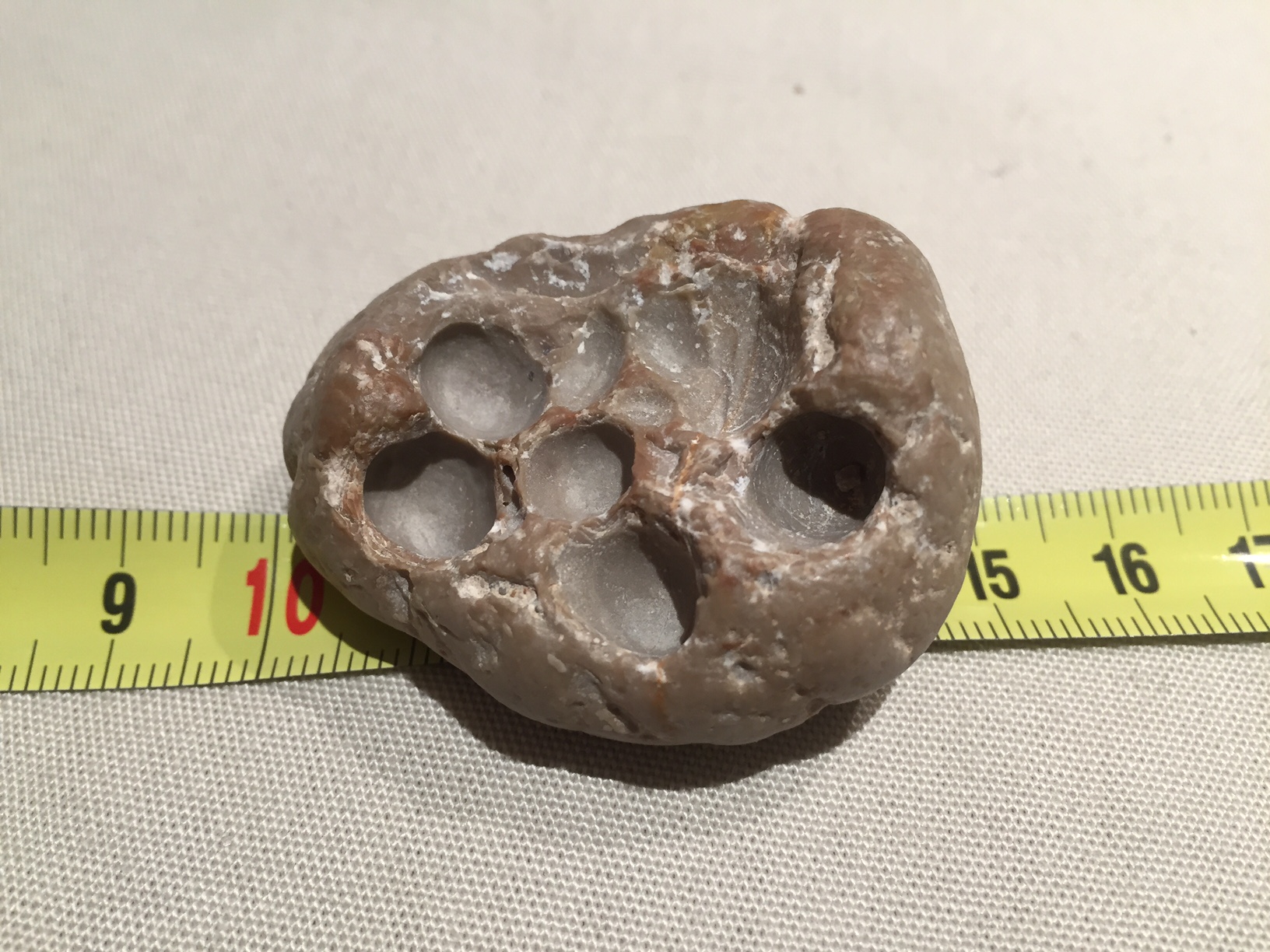 Fossil or man made? - Fossil ID - The Fossil Forum