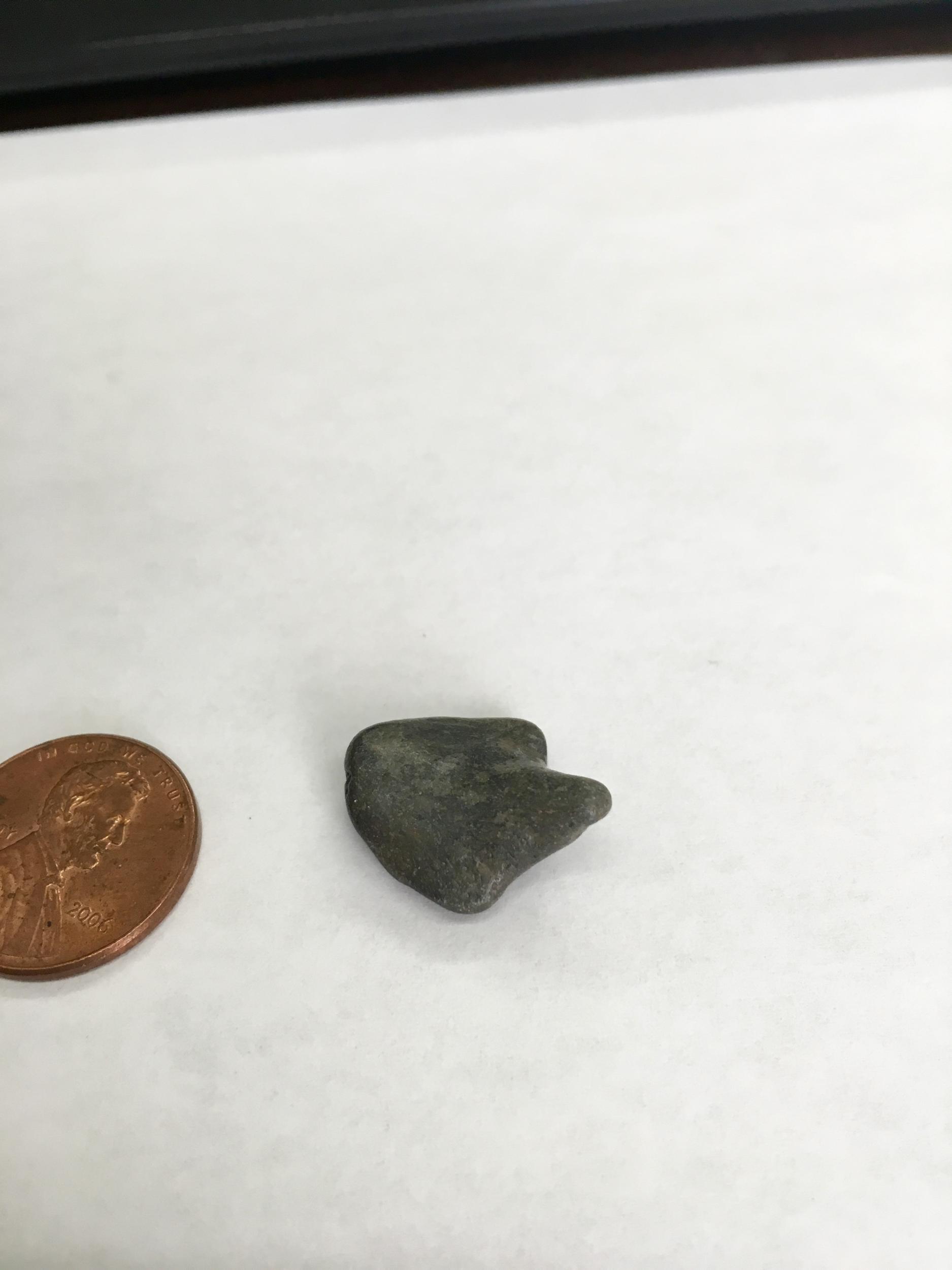 Green Mill Run Fossils - Fossil ID - The Fossil Forum