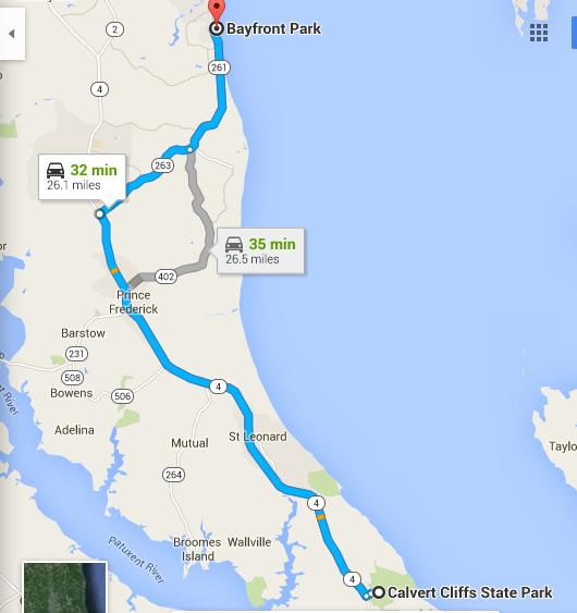 Bayfront Park-2/28/16 - Fossil Hunting Trips - The Fossil Forum