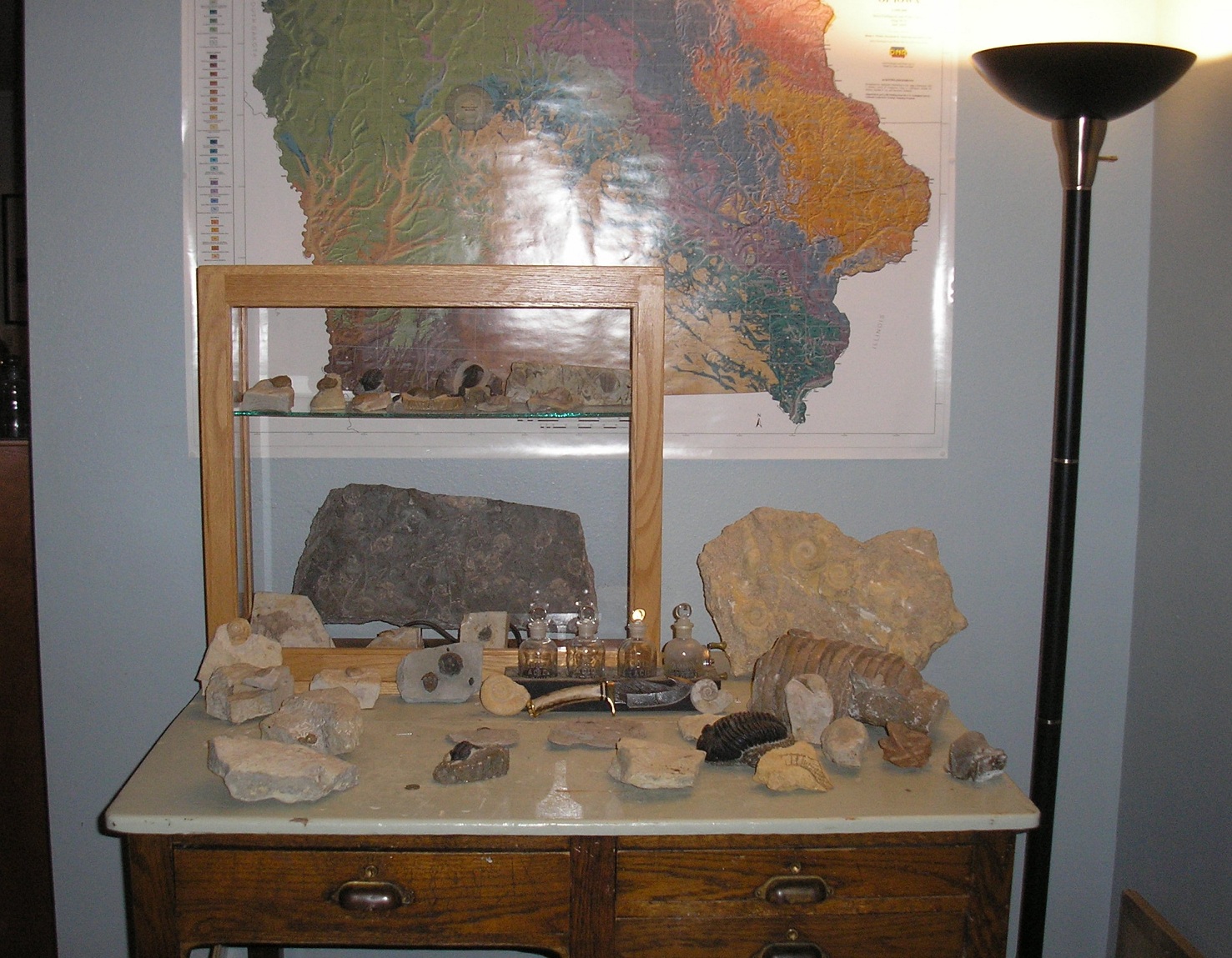 Fossil Storage, And Display. - General Fossil Discussion - The Fossil Forum