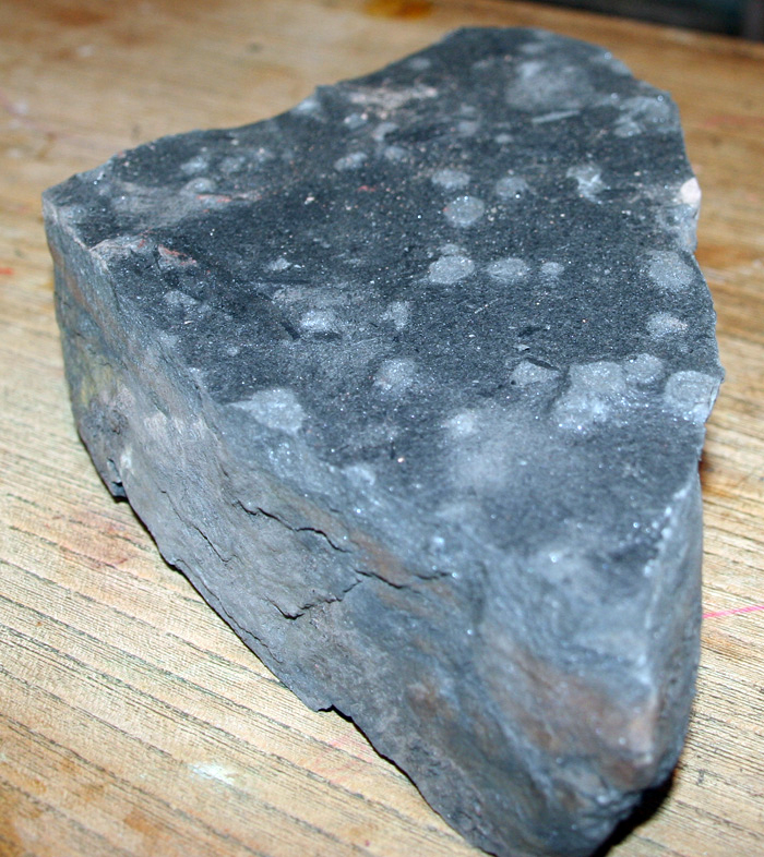 Raindrops ? - Fossil ID - The Fossil Forum