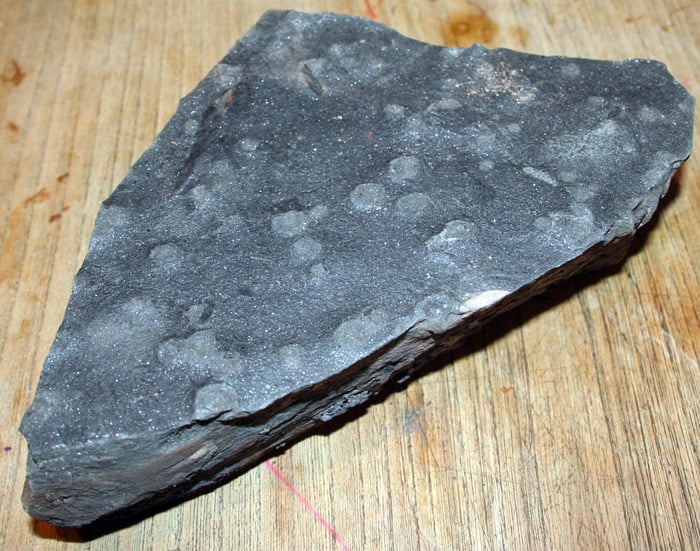 Raindrops ? - Fossil ID - The Fossil Forum