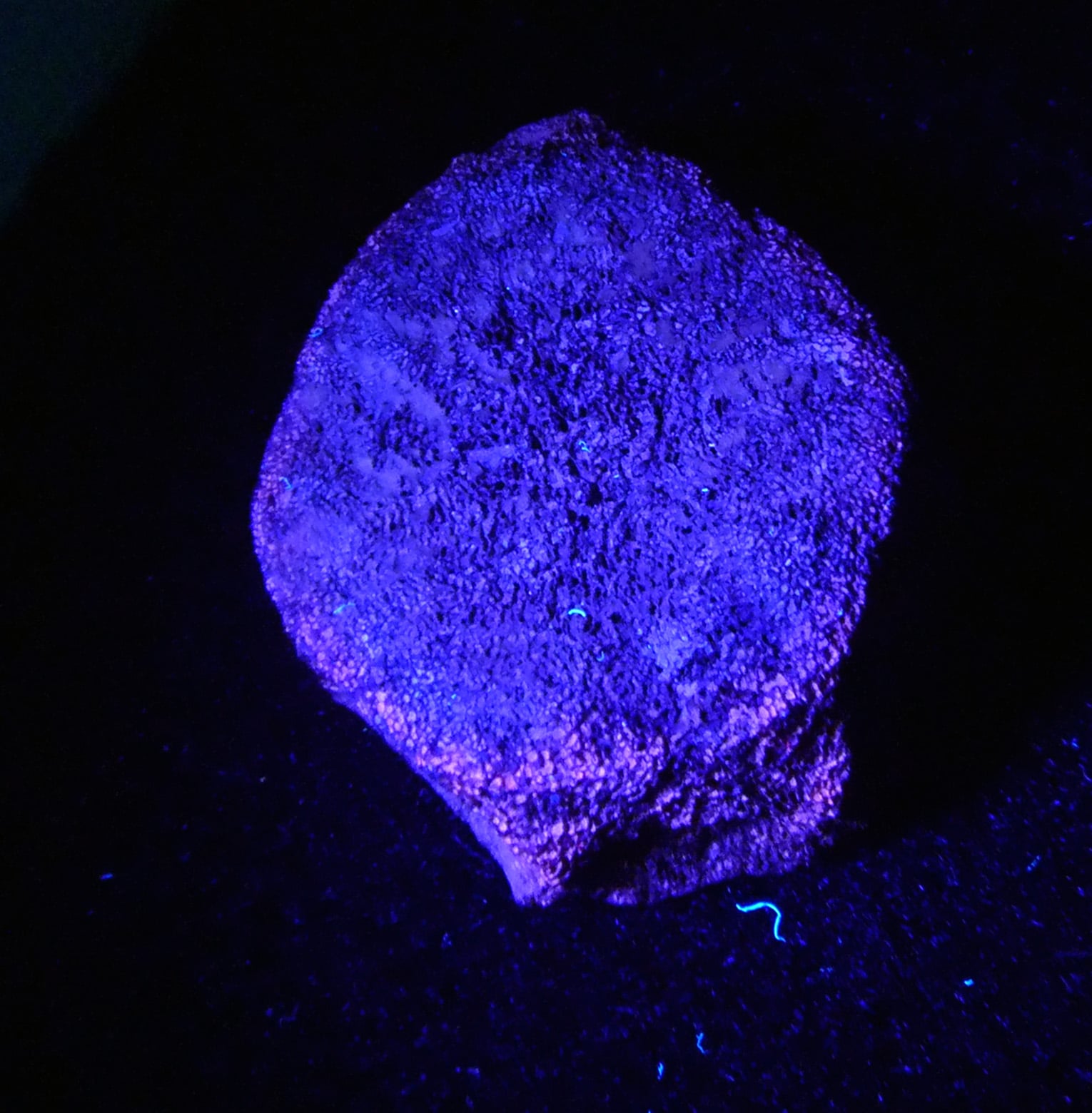 Fossil Collecting Under Uv Light? - Collecting Gear - The Fossil Forum