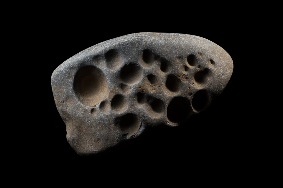 holey rock - piddock clams? - Fossil ID - The Fossil Forum
