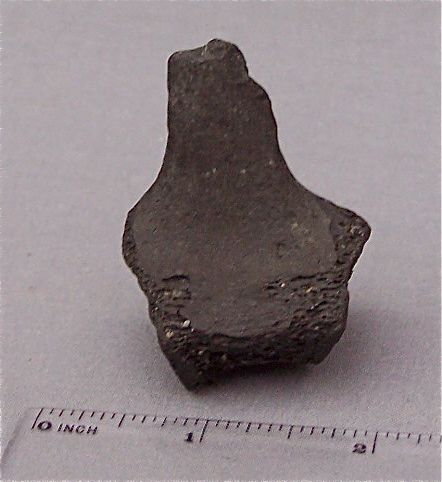 Calvert, Md Choptank Formation Vertebrae # 2? - Fossil ID - The Fossil ...