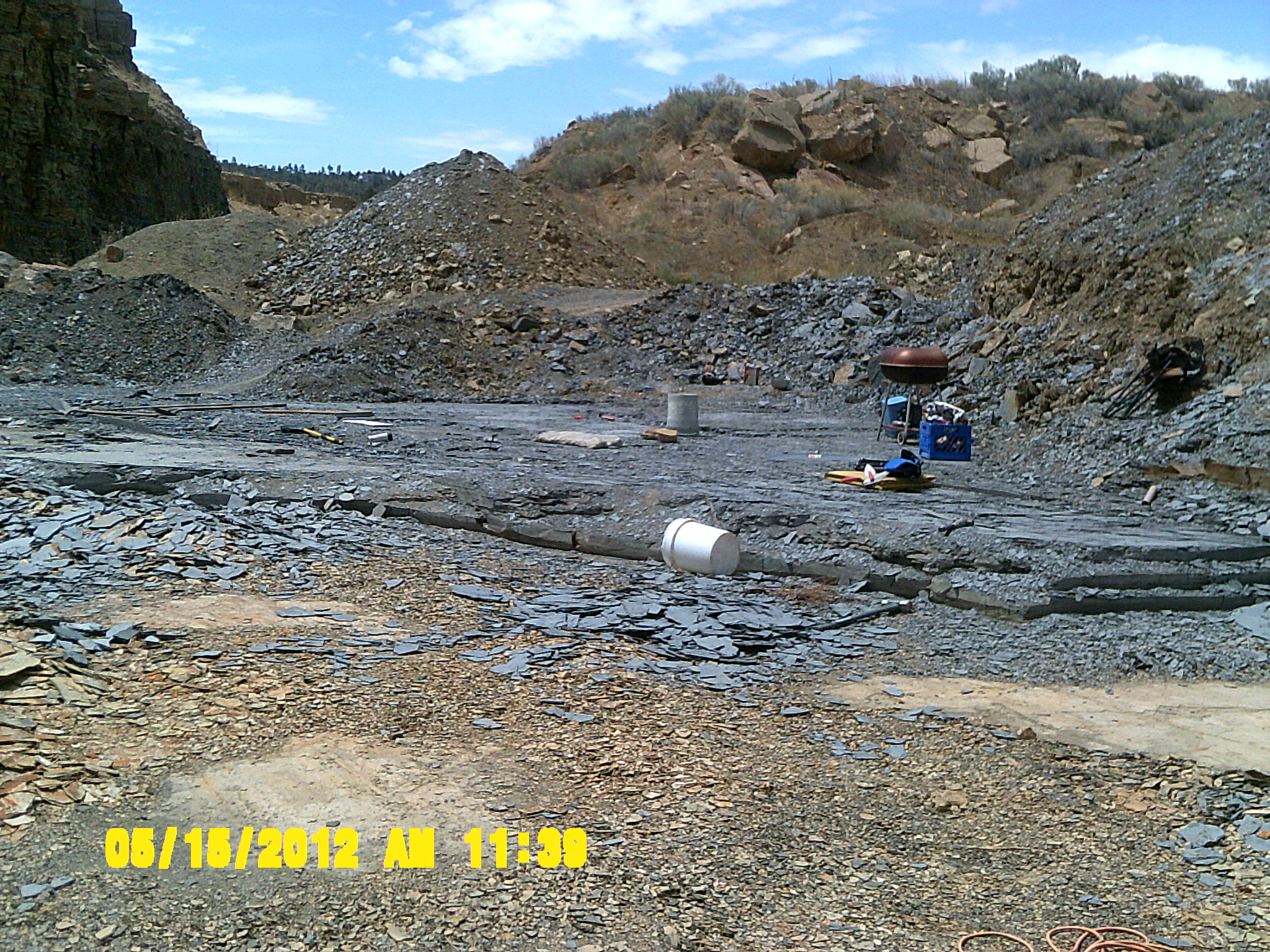 Firstitme At Kinney Brick Quarry New Mexico - Fossil Hunting Trips ...