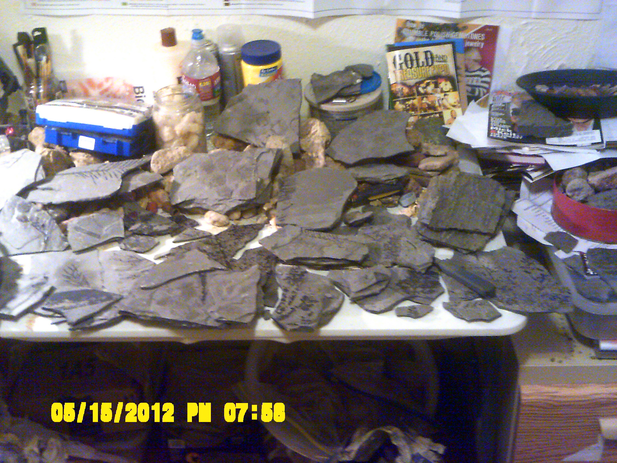 Firstitme At Kinney Brick Quarry New Mexico - Fossil Hunting Trips ...