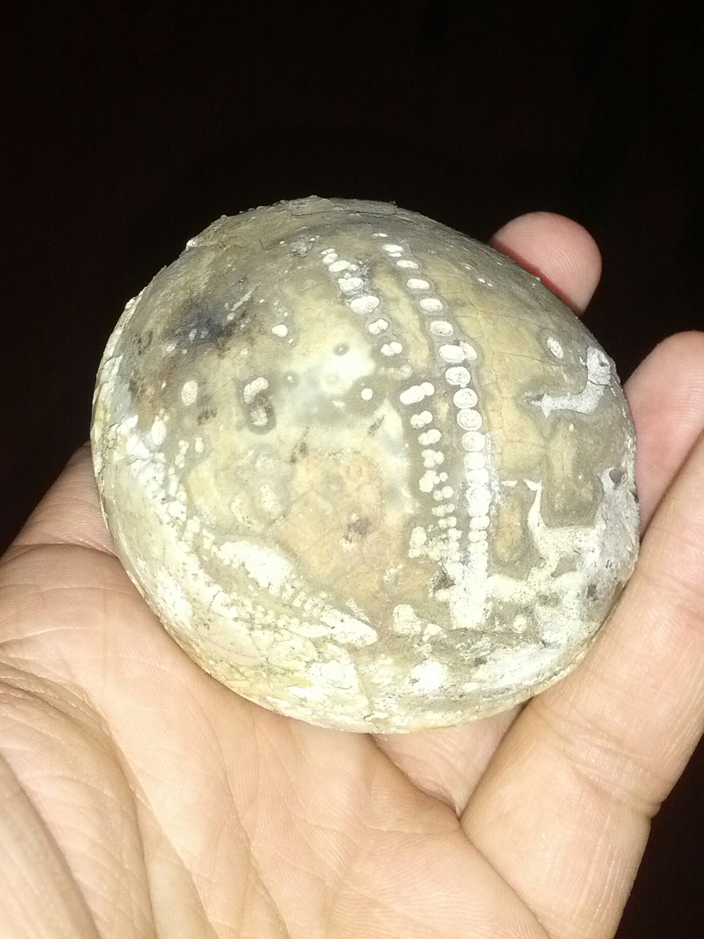 Ball Shaped Object Found In Flint - Fossil ID - The Fossil Forum