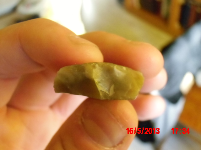 Skalka Pistol ? - Fossil ID - The Fossil Forum