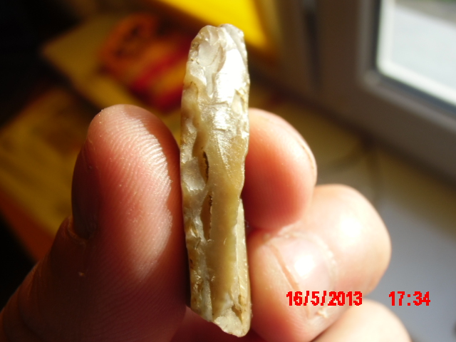 Skalka Pistol ? - Fossil ID - The Fossil Forum