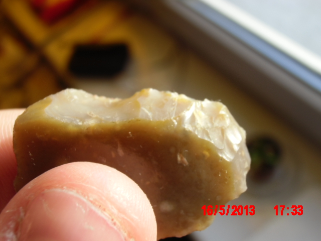 Skalka Pistol ? - Fossil ID - The Fossil Forum