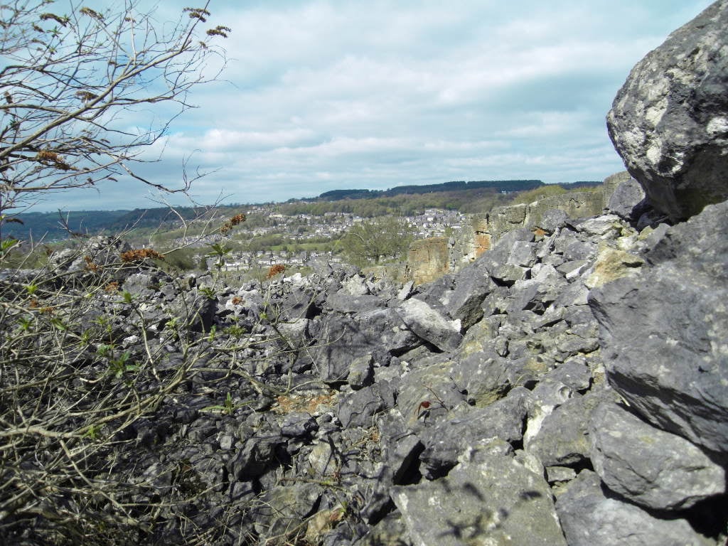 Little And Large - Fossil Hunting Trips - The Fossil Forum