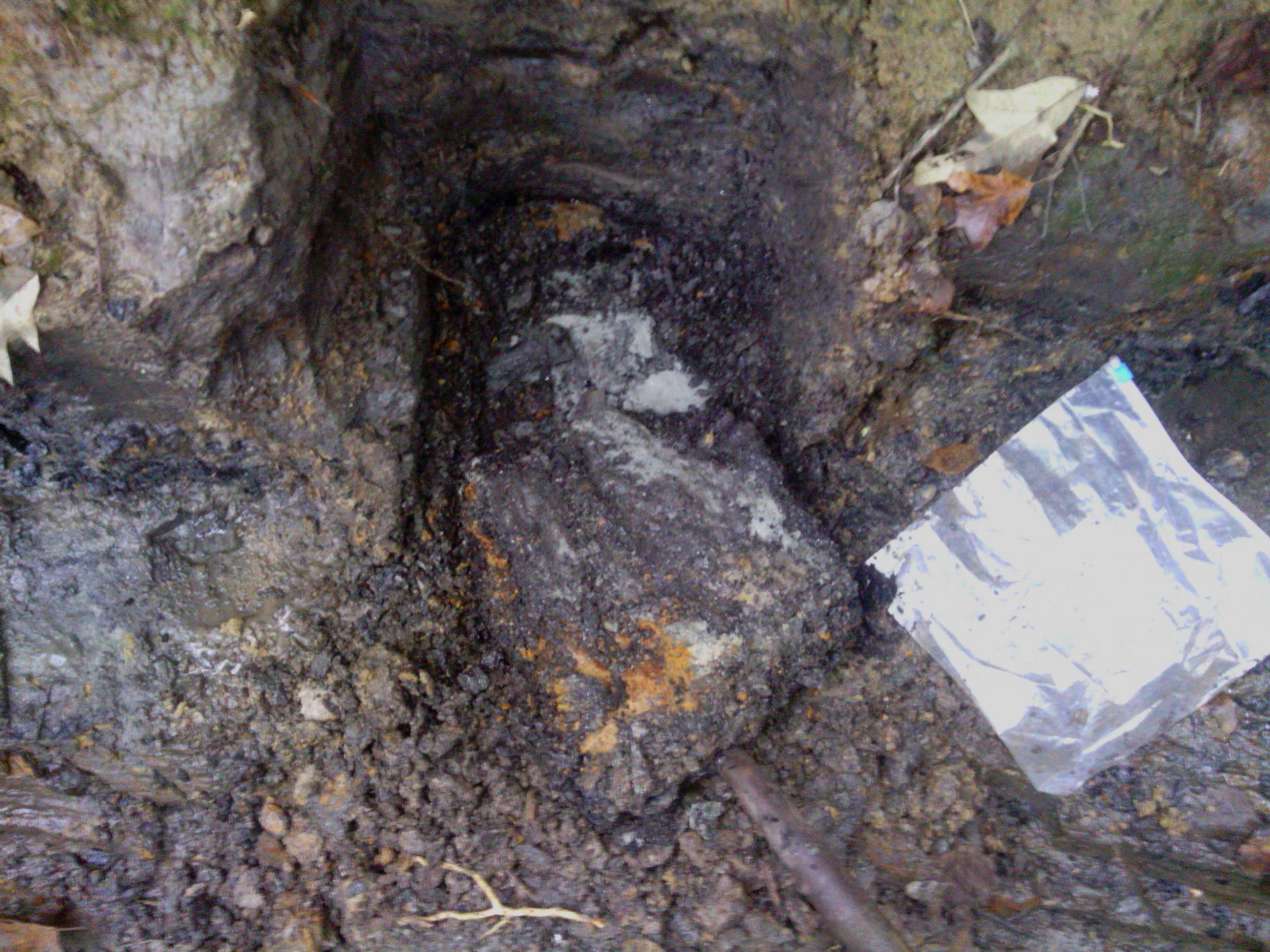 Cretaceous Amber In Tennessee: An Open Report. - General Fossil ...