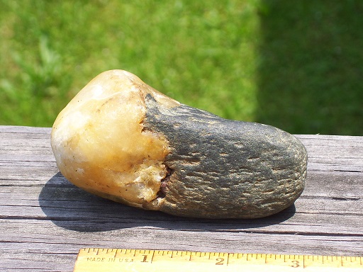 Unusual Western North Carolina River Rock Find! What Is It? - Fossil ID ...