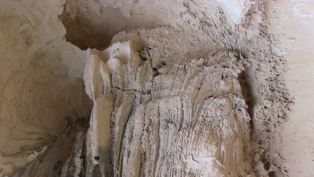 Kauai Fossils On Makaheni Lithified Cliffs Fun! - Fossil Hunting Trips ...