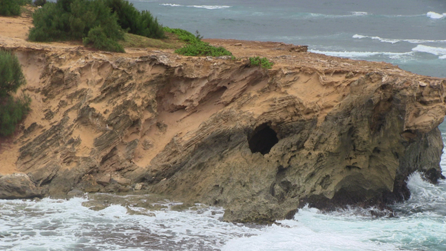 Kauai Fossils On Makaheni Lithified Cliffs Fun! - Fossil Hunting Trips ...