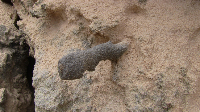 Kauai Fossils On Makaheni Lithified Cliffs Fun! - Fossil Hunting Trips ...