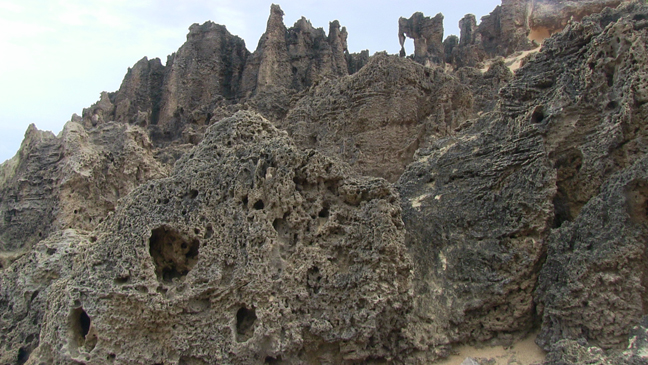 Kauai Fossils On Makaheni Lithified Cliffs Fun! - Fossil Hunting Trips ...