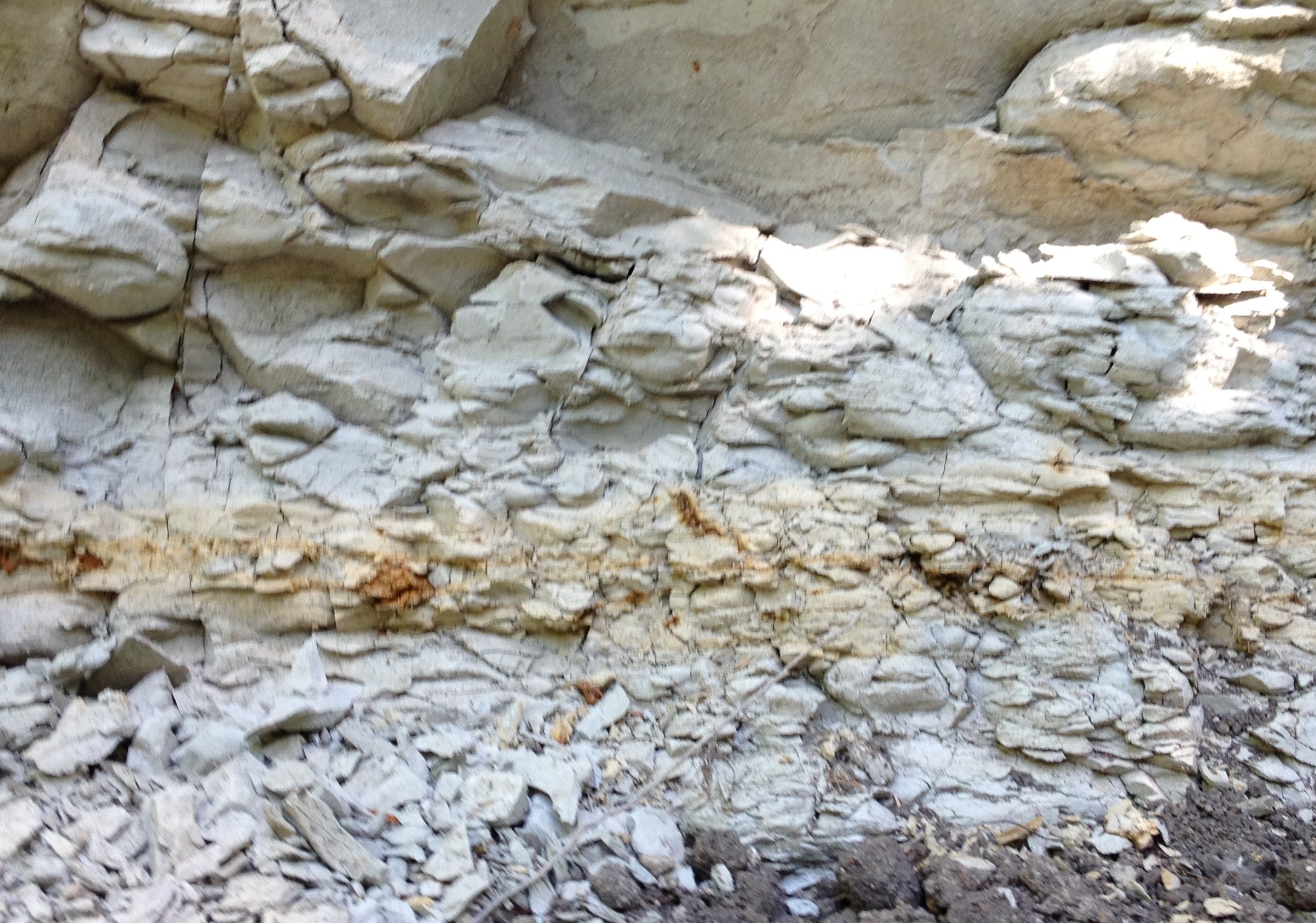 Part 3 - 100 Hours Collecting The Austin Chalk Of North Texas - Fossil ...