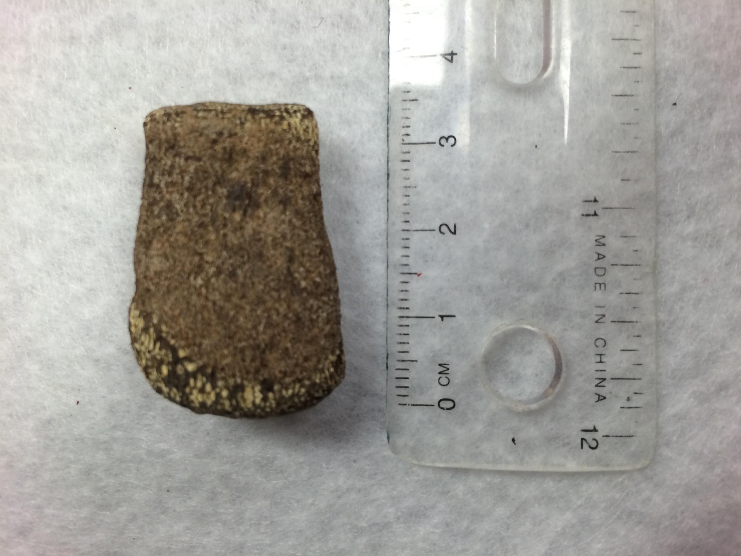 North Dallas Unknown - Fossil ID - The Fossil Forum