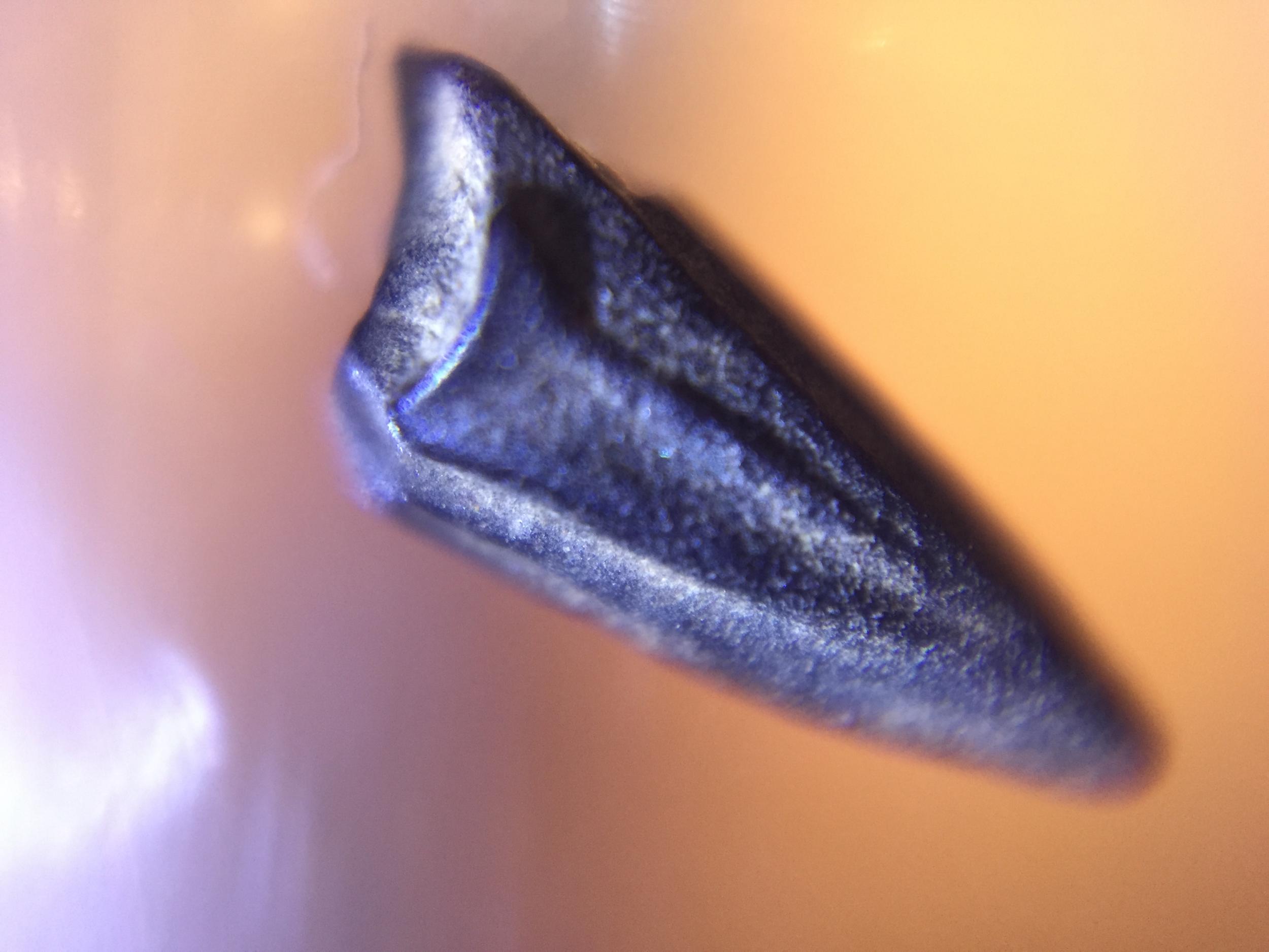 Id: Cretaceous Marine Microfossils (Teeth) - Fossil ID - The Fossil Forum