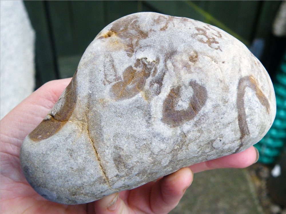 What Caused The Round Marks On This Rock; Mud Worms? - Fossil ID - The ...