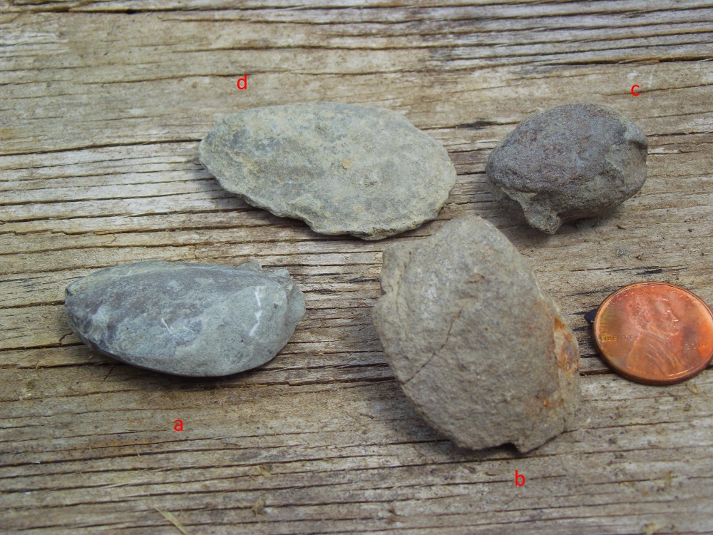 Jim's Trips - Fossil Hunting Trips - The Fossil Forum