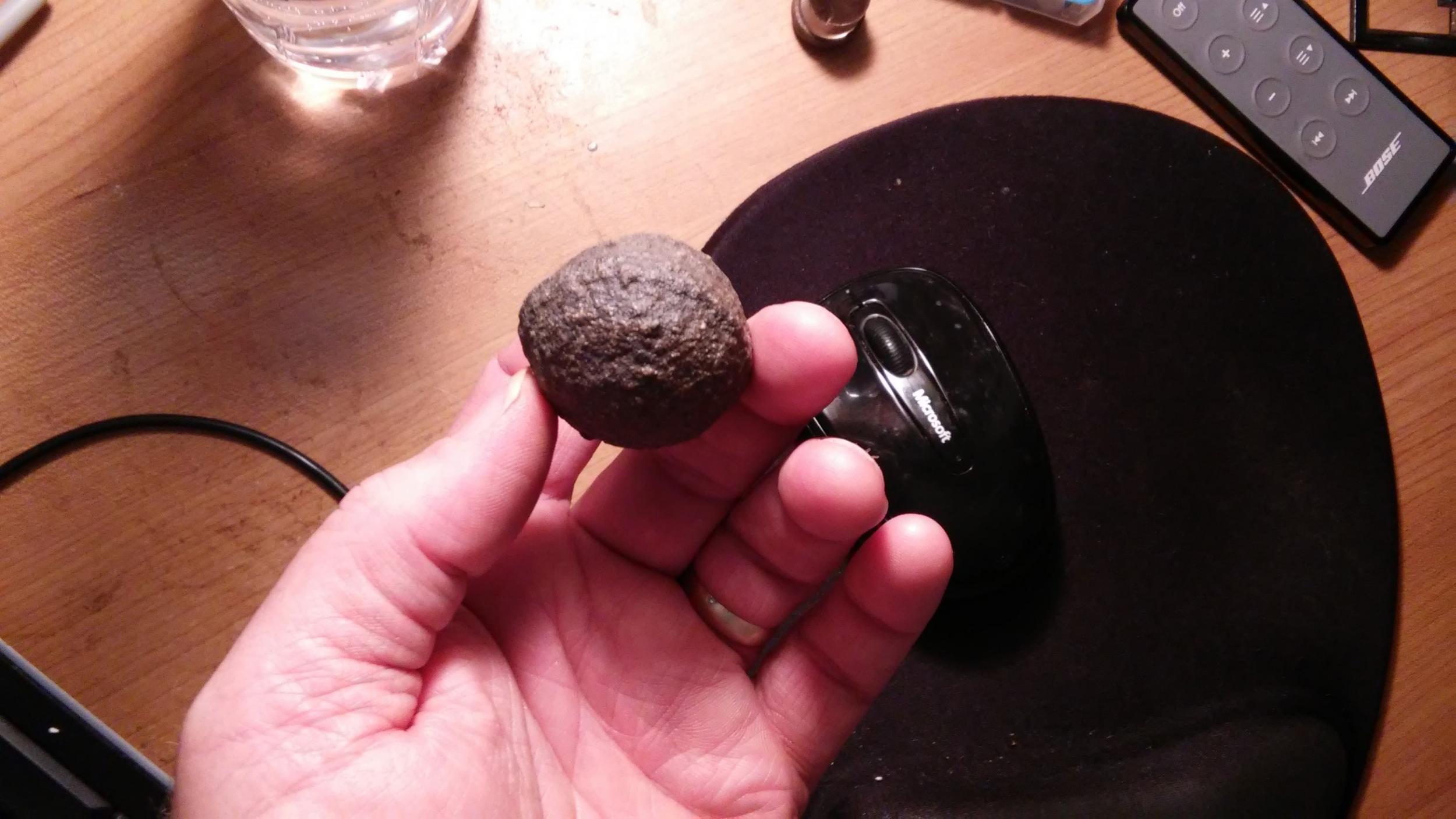Scrat's Acorn? - Fossil ID - The Fossil Forum