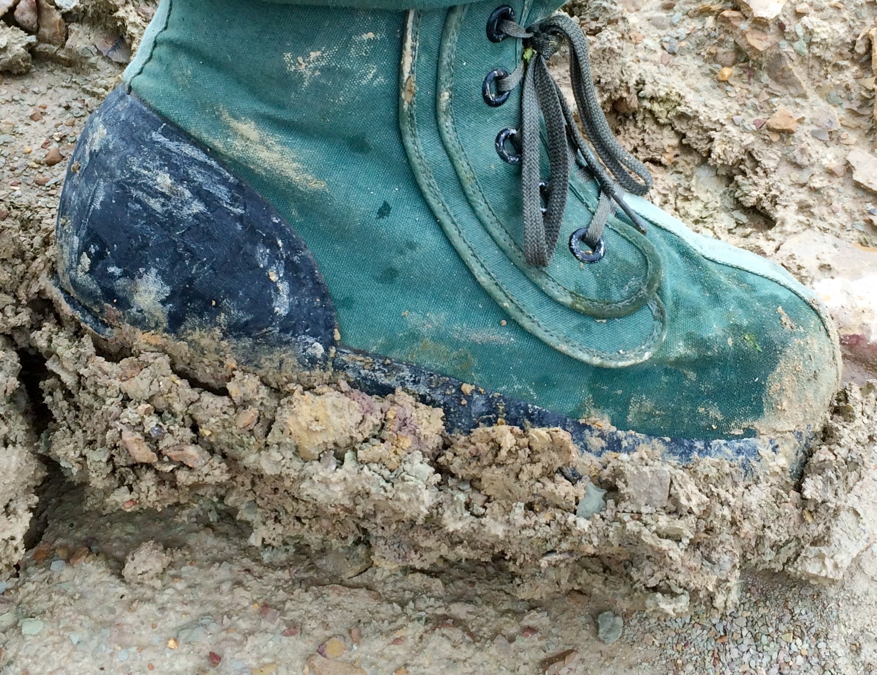 South Texas Upper Cretaceous Drag Marks - Fossil ID - The Fossil Forum
