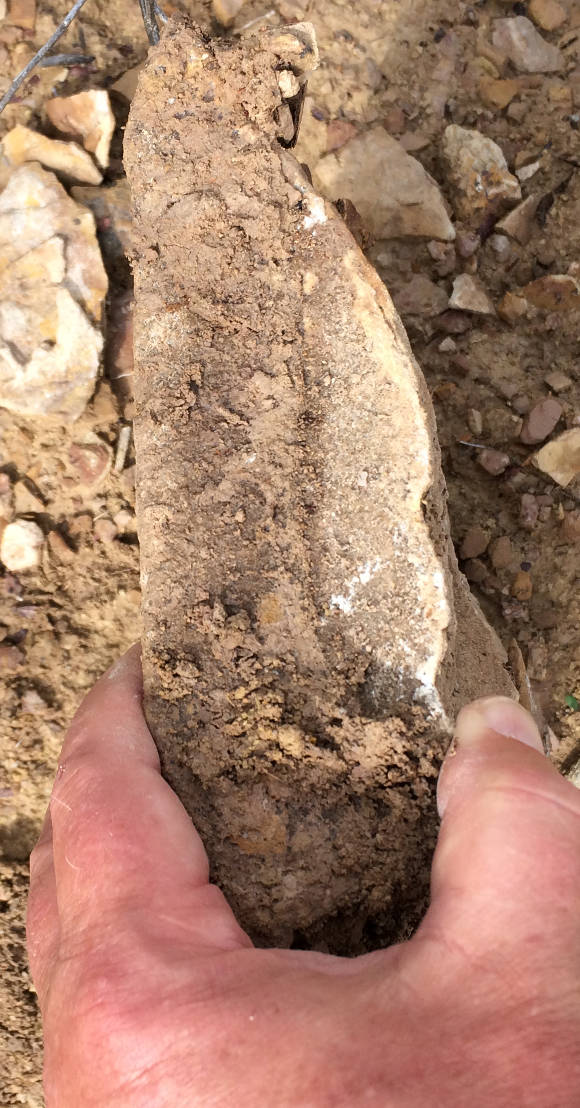 South Texas Upper Cretaceous Drag Marks - Fossil ID - The Fossil Forum