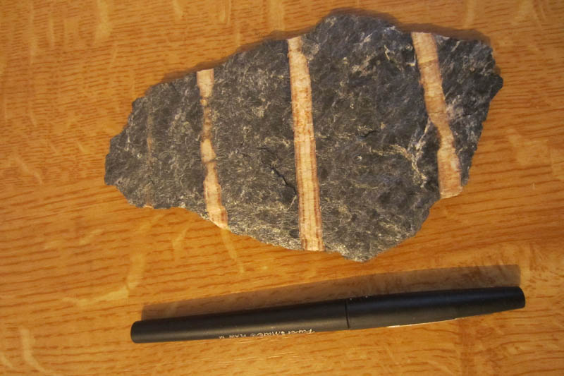 Stone With White Stripes On It. - Fossil ID - The Fossil Forum