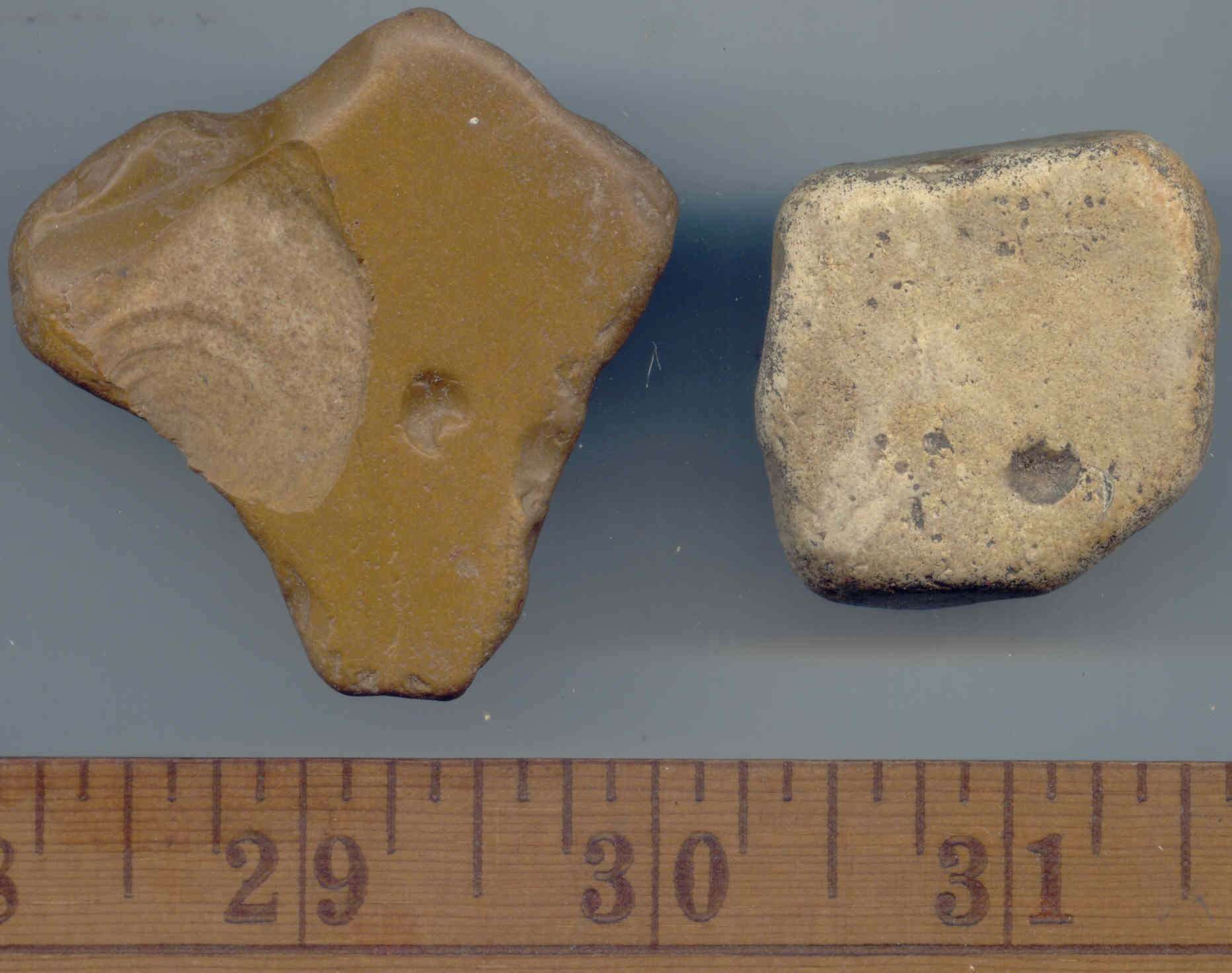 Are These Shell Impressions? - Fossil ID - The Fossil Forum